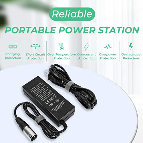 24V 2A 3-Pin XLR Connector Electronic Scooter Battery Charger for Go-Go Elite Traveller,Pride Mobility,Jazzy Power Chair Battery Charger & Plus Ezip Mountain Trailz (with 3.9ft US Power Cord)