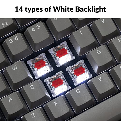 Keychron C2 Pro Wired Custom Mechanical Keyboard Full Size Layout QMK/VIA Programmable Macro White Backlit with Keychron K Pro Red Switch OEM Profile Double-Shot PBT Keycaps for Mac Windows Linux