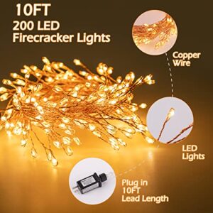 Cluster Fairy Lights with Remote, 10Feet 200LED Firecracker String Lights Plug in, Waterproof Copper Wire Firefly Lights for Bedroom Window Mantle Weddings Christmas Tree Decoration, Warm White