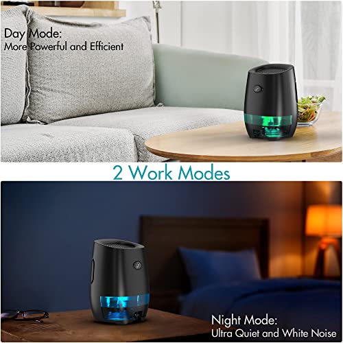 Dehumidifiers, 35OZ Dehumidifier, Small Dehumidifiers for Home, Bedroom, Bathroom, Mini dehumidifier with Auto Shut-off, 7 Colors Night Lights, Ultra Quiet for Closet RV Office