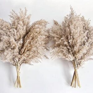 Pampas Grass Decor, Natural Dry Pampas Grass Small, Short Pampass Bulk for Farmhouse, Wall, Kitchen, Bedroom Decor, Office Decor (17 inch )