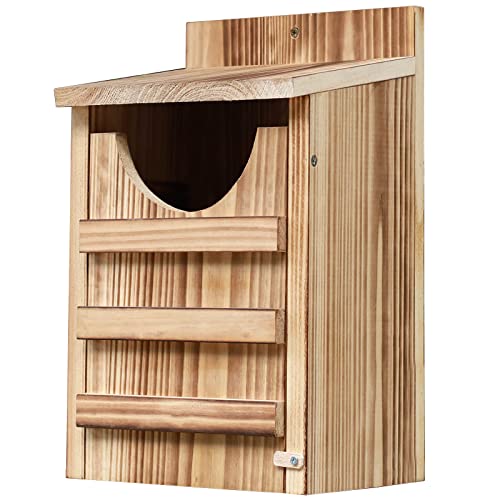 Owl House Owl Box