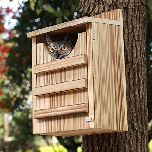 Owl House Owl Box