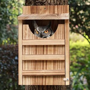 Owl House Owl Box