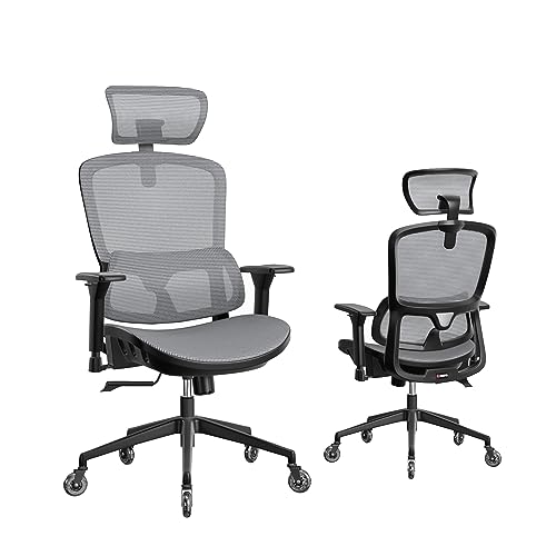 resiova Office Chair Ergonomic Computer Chair,High Back Mesh Chairs,Computer Chair with Lumbar Support and Retractable Armrests,Swivel Mesh Office Chair for Home Office and Study,Grey