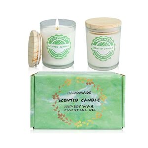 OSHINE Scented Soy Candle 2 Packs, Vanilla Aroma, Total 10.6 OZ Burn 80 Hrs, 8% Natural Essential Oils Glass Candles,100% Natural Soy Wax Gift Set for Women Bathing Yoga Birthday Christmas(Vanilla)