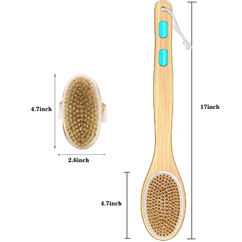 4PCS Wet and Dry Body Brush Set of 2 Dual-Sided Long Handle Shower Brush Set of 2 Short Bristles Dry Brush for Cellulite and Lymphatic Drainage Massage