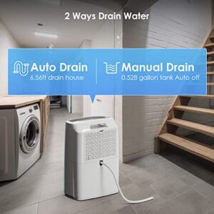 ANDTE 2500 Sq.Ft Dehumidifiers for Large Room and Home Basements, 31 Pints Dehumidifiers with Auto or Manual Drainage, 0.528 Gallon Water Tank with Drain Hose, Auto Defrost, Dry Clothes Function, 24H Timer