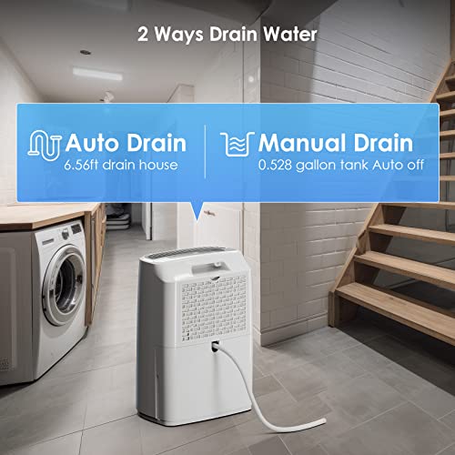 ANDTE 2500 Sq.Ft Dehumidifiers for Large Room and Home Basements, 31 Pints Dehumidifiers with Auto or Manual Drainage, 0.528 Gallon Water Tank with Drain Hose, Auto Defrost, Dry Clothes Function, 24H Timer