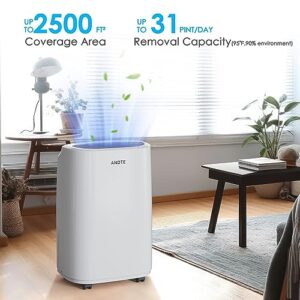 ANDTE 2500 Sq.Ft Dehumidifiers for Large Room and Home Basements, 31 Pints Dehumidifiers with Auto or Manual Drainage, 0.528 Gallon Water Tank with Drain Hose, Auto Defrost, Dry Clothes Function, 24H Timer