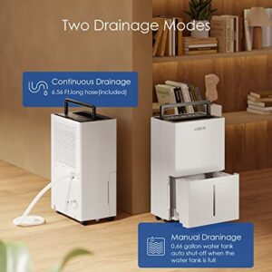 LUBAIR 4500 Sq.ft 50 Pint Dehumidifiers for Basements and Home, Large Room Basements with Automatic Drain or Manual Drainage,Intelligent Humidity Control, Laundry Dry, Auto Defrost, 24H Timer, Child Lock for Office, Living Room.