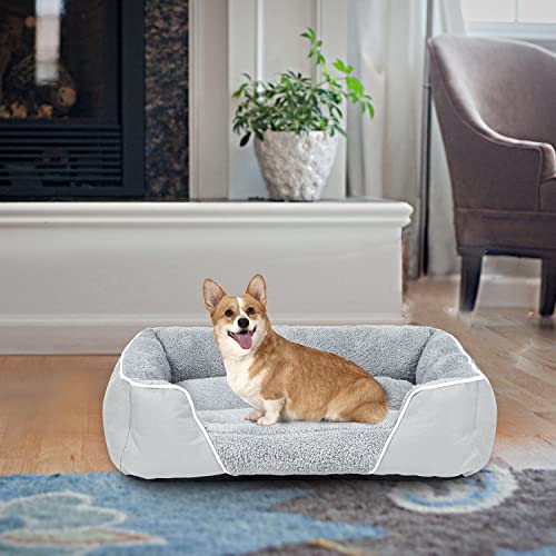 RIROMGY Dog Bed for Small Dogs, Rectangle Machine Washable Dog Bed Warming Calming Pet Sofa Comfortable Orthopedic Dog Bed for Small Dogs and Cats with Anti-Slip Bottom