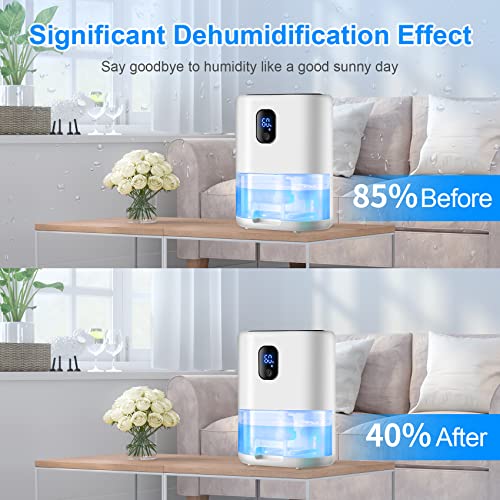 Dehumidifiers, Closet Dehumidifier,small dehumidifiers Up to 2000 sq.ft(1000ml Water Tank),Dehumidifiers for Home Quiet with Auto Shut Off, Portable Air Dehumidifiers for Bedroom, Bathroom, RV, Closet