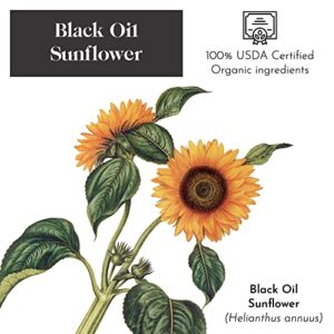 Flying Colors Premium Organic Wild Bird Seed | Black Oil Sunflower Seed | USDA Organic Ingredients | Best Seed for Backyard Bird Feeders | 3 Gallon Easy-Pour Carton