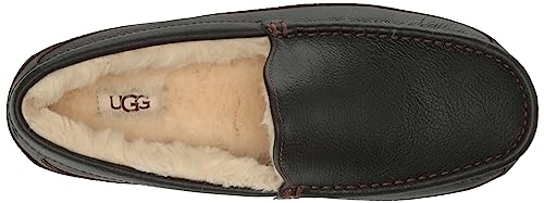 UGG Men's Ascot Discontinued Slipper, Dark Spice, 11