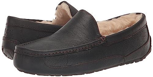 UGG Men's Ascot Discontinued Slipper, Dark Spice, 11