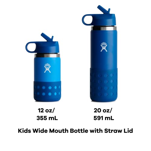 Hydro Flask 12 Oz Kids Wide Mouth Straw Cap And Boot Wisteria