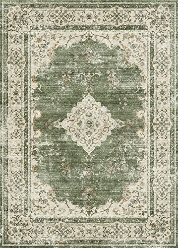 Valenrug Washable Rug 5x7 - Ultra Thin Green Collection Area Rug, Stain Resistant Non-Skid Rugs for Living Room, Persian Boho Bedroom Rugs(5'x7', TPR40-Green)