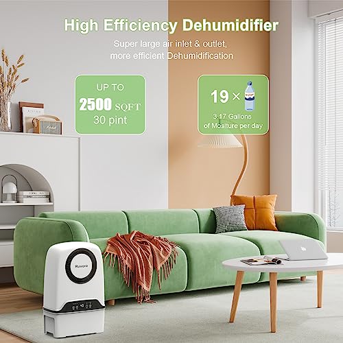 Dehumidifier for Home, RUWORA Dehumidifiers for Bedroom, 30 Pint 2500 Sq.Ft , Water Tank 1.06 Gallon, Dehumidifiers for Basement Bathroom Closet, Overflow Protection, 24H Timer