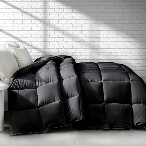 DREAMHOUR Bamboo Fiber Comforter Queen Size,Black Ultra Soft Breathable Plush Duvet Insert All Season Machine Washable,8 Corner Tabs 90X90 Inches