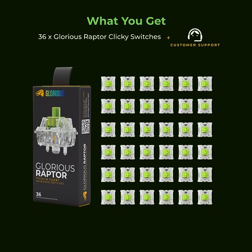 Glorious Raptor Clicky Switches for Mechanical Keyboards for Gaming: 36 PCS, 5-pin, Transparent for MAX RGB, Pre-Lubed, Compatible with MX Keycaps, Premium Click Bar for Thocky Sound