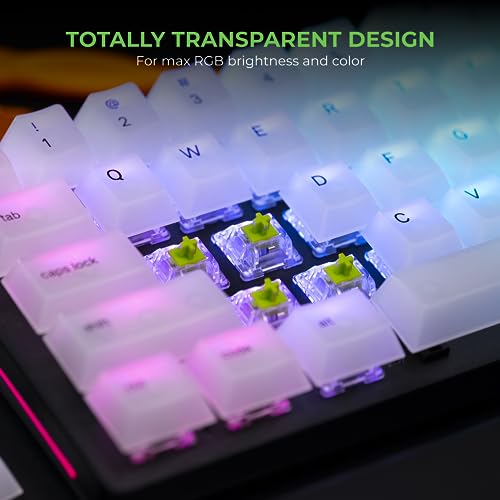 Glorious Raptor Clicky Switches for Mechanical Keyboards for Gaming: 36 PCS, 5-pin, Transparent for MAX RGB, Pre-Lubed, Compatible with MX Keycaps, Premium Click Bar for Thocky Sound