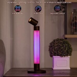 Howdot Smart Table Lamp, 600LM Dimmable Reading Lamp with Induction Switch, Adjustable RGB Lamp with Music Sync, APP Control, Works with Alexa Google, Ambient Lighting for Gaming, Living, Bed Room