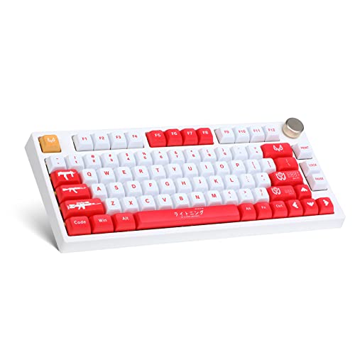 VKPROEY PBT Keycaps Set 137Key XDA Profile, Dye-Sublimation, Customized Keycaps with Puller for Mechanical Gaming Keyboard, Compatible with Gateron MX Switches, Fits 96/98/104/108 Major-Sizes