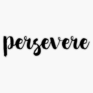 magnet persevere ~ motivation mantra yoga magnet reusable sticker 5"