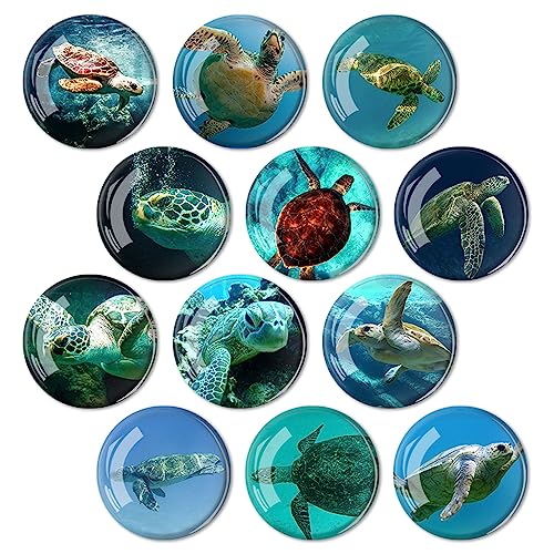 Glass Strong Animals Refrigerator Magnets,12 Pcs Decorative Magnets for Fridge Lovely Decor for Home Kitchen Office Whiteboard (Turtle Refrigerator Magnet)