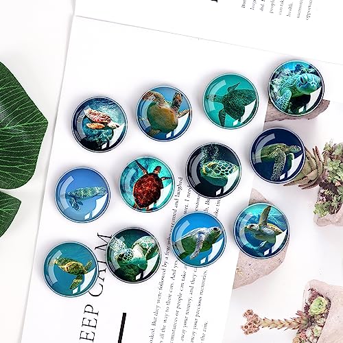 Glass Strong Animals Refrigerator Magnets,12 Pcs Decorative Magnets for Fridge Lovely Decor for Home Kitchen Office Whiteboard (Turtle Refrigerator Magnet)