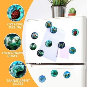 Glass Strong Animals Refrigerator Magnets,12 Pcs Decorative Magnets for Fridge Lovely Decor for Home Kitchen Office Whiteboard (Turtle Refrigerator Magnet)