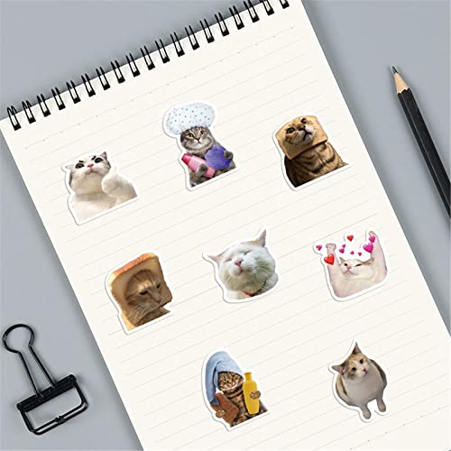 200 Pcs Cute Cat and Dog Stickers, Cat Funny Meme Waterproof Stickers,Vinyl Stickers for Water Bottle,Laptop,Phone,Skateboard Stickers for Kids Aldult Teens Girls (CDE)