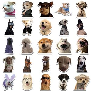 200 Pcs Cute Cat and Dog Stickers, Cat Funny Meme Waterproof Stickers,Vinyl Stickers for Water Bottle,Laptop,Phone,Skateboard Stickers for Kids Aldult Teens Girls (CDE)