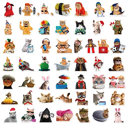 200 Pcs Cute Cat and Dog Stickers, Cat Funny Meme Waterproof Stickers,Vinyl Stickers for Water Bottle,Laptop,Phone,Skateboard Stickers for Kids Aldult Teens Girls (CDE)