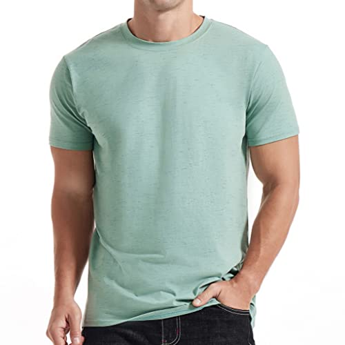 KLIEGOU Men's Crew Neck T Shirts - Casual Stylish Tees for Men 303 Light Green Large