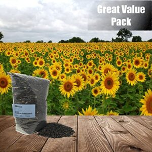 Old Potters Wildlife Black Oil Sunflower Seeds, 10 lbs for Birds and Wildlife, USA Grown Non-GMO, 10 Pounds