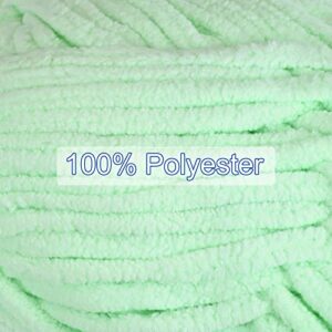 HARFINGTON 2Skeins Chenille Yarn Velvet Blanket Yarn 2x100g/7.1oz #6 Super Bulky Polyester Soft Knitting for Crochet Weaving Bag Scarf Hat, Light Green