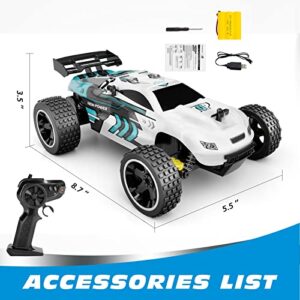 Tecnock RC Racing Car, 2.4Ghz High Speed Remote Control Car, 1:18 2WD Toy Cars Buggy for Boys & Girls with Rechargeable Batteries for Car, Gift for Kids