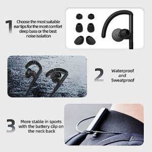 SoundMAGIC ST80 Neckband Bluetooth Earbuds - Waterproof HiFi Stereo Sound Earphones Wired Detachable in Ear Headphones with Adjustable Metal Mechanism Ear Hooks, Black