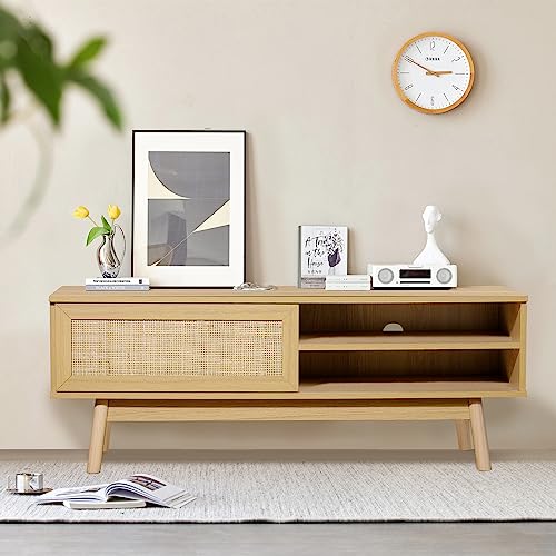 EOYUTLLY Farmhouse Rattan TV Stand 46.8" Boho tv Stand Muebles para TV with 1 Doors and 2 Open Shelves Mid Century Modern TV Stand for Living Room Bedroom Furniture