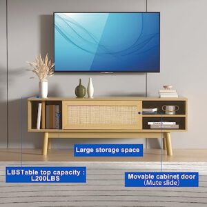 EOYUTLLY Farmhouse Rattan TV Stand 46.8" Boho tv Stand Muebles para TV with 1 Doors and 2 Open Shelves Mid Century Modern TV Stand for Living Room Bedroom Furniture