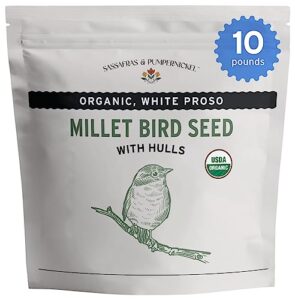 sassafras & pumpernickel organic millet with hulls (10 lbs) usa grown and packaged, bulk white proso millet for birds, hull-on millet for added nutrients, millet bird seed for parakeets, cockatiels