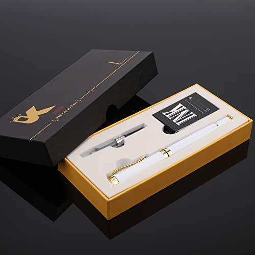 Tiankool Luxury Fountain Pen,Fine Nib, Exquisite Pen Gift Set for Men&Women-Includes 10 Ink Cartridges&Ink Converter- Nice Pens - White