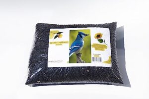 black oil sunflower seeds for birds (10 pound), birds seed for outside wild birds, birds love black oil sunflower seeds for their high-fat content, nutrition filled bird seed for outside feeders