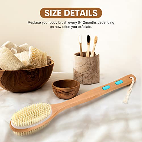 Shower Brush with Soft and Stiff Bristles, Long Handle Back Brush Dual-Sided, Wet & Dry Brush for Cellulite and Lymphatic