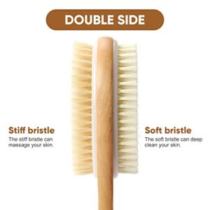 Shower Brush with Soft and Stiff Bristles, Long Handle Back Brush Dual-Sided, Wet & Dry Brush for Cellulite and Lymphatic