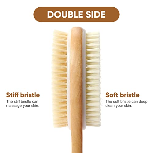 Shower Brush with Soft and Stiff Bristles, Long Handle Back Brush Dual-Sided, Wet & Dry Brush for Cellulite and Lymphatic