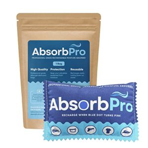 Absorb Pro - 100g (1-pack) Rechargeable Desiccant Pouch - Moisture Absorbing Bag - Dehumidifier for Bins, Totes, Safes, Cars, and Boats - Made from Silica Gel