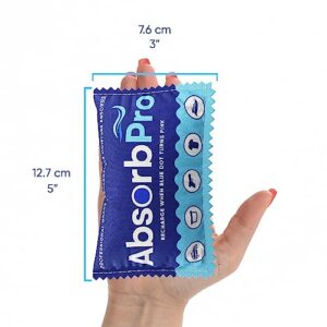 Absorb Pro - 100g (1-pack) Rechargeable Desiccant Pouch - Moisture Absorbing Bag - Dehumidifier for Bins, Totes, Safes, Cars, and Boats - Made from Silica Gel